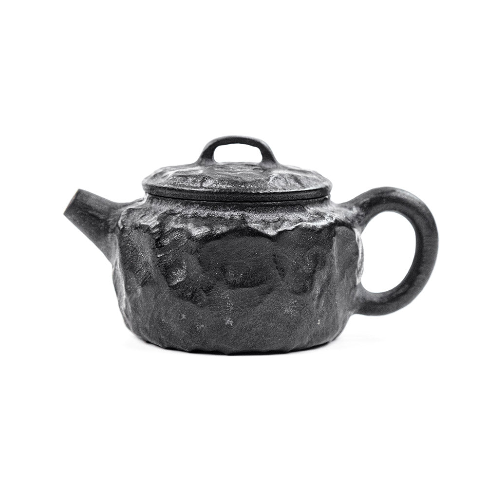 SHIYUN Teapot: Where Elegance Meets Everyday Tea Rituals – ZHUOPU TANG